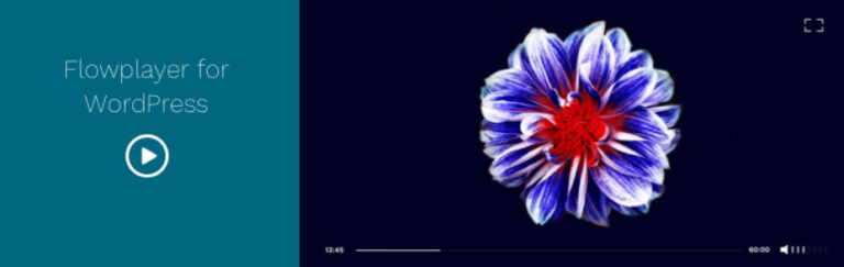 Cómo usar vídeos WebM en tu sitio y mejorar los tiempos de carga