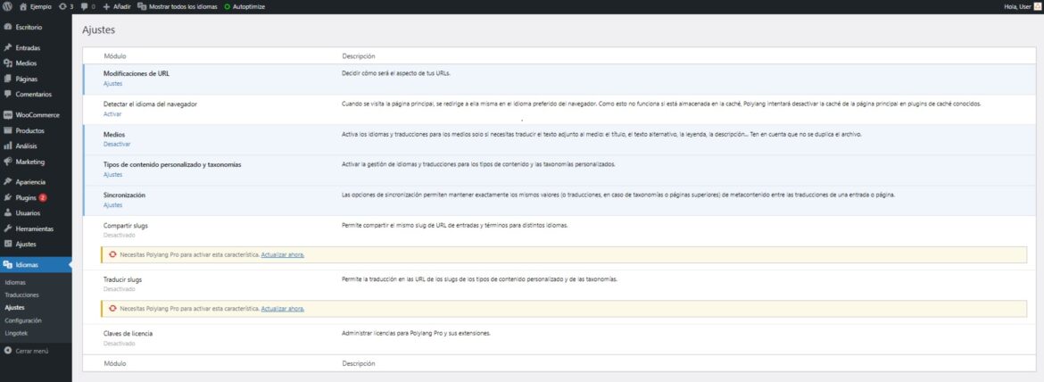 Cómo configurar el plugin Polylang en WordPress - Dinahosting