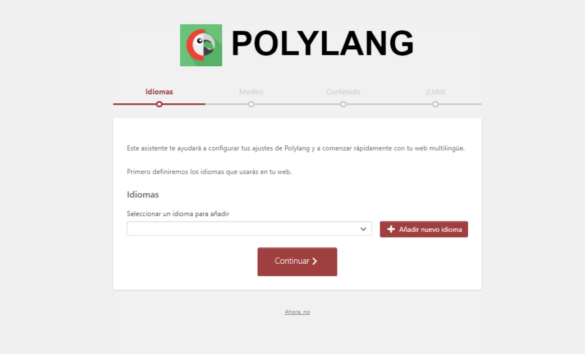 Cómo configurar el plugin Polylang en WordPress - Dinahosting