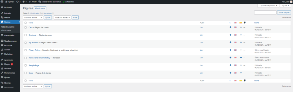 Cómo configurar el plugin Polylang en WordPress - Dinahosting