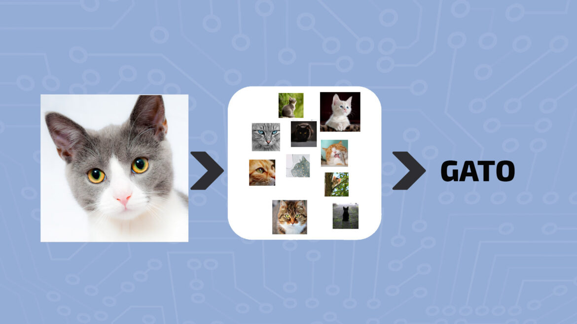 Machine learning e Inteligencia artificial: qué es y para qué sirve ...